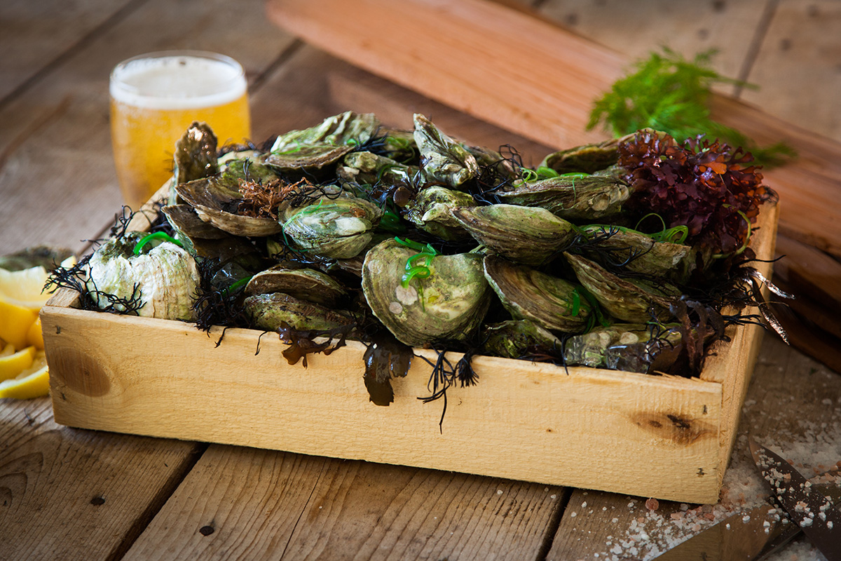 Storing & Shucking - Colville Bay Oyster Company